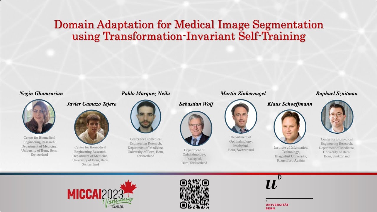 Domain Adaptation for Medical Image Segmentation Using Transformation ...