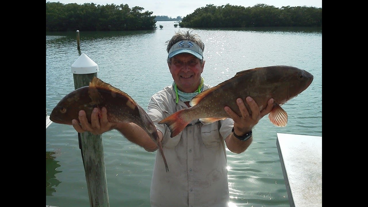 Red Grouper Fishing Englewood Beach Florida - YouTube