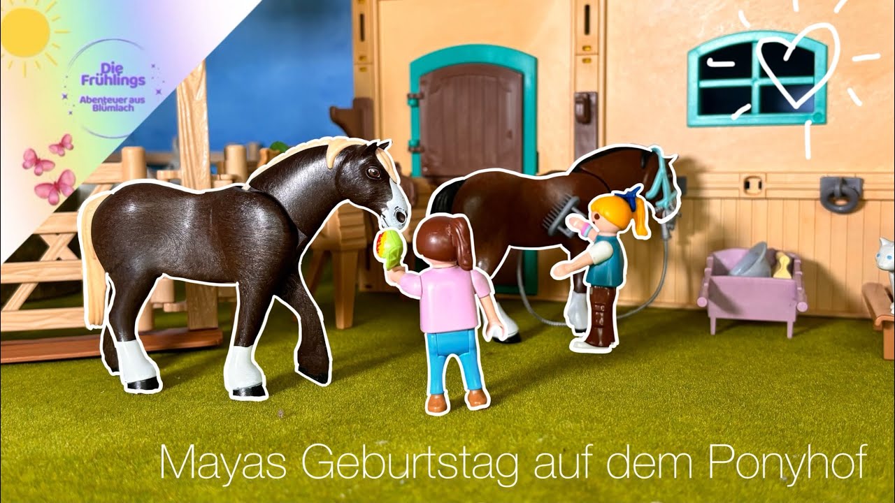Geburtstag Auf Dem Ponyhof