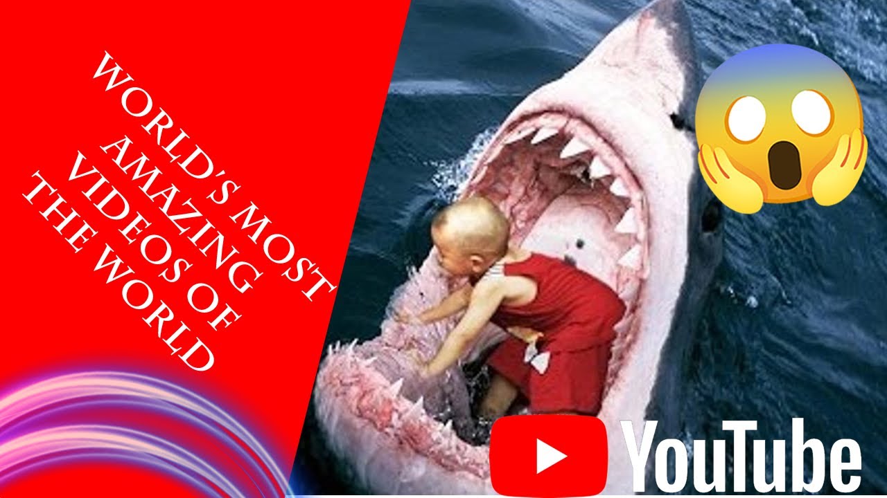 Top Videos | World's Most Amazing Videos Of The World - YouTube