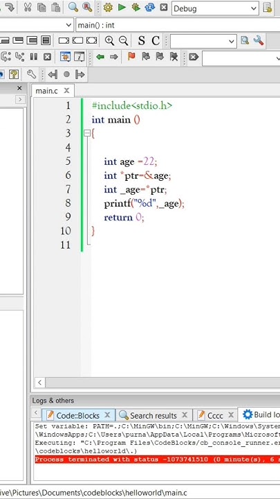 Day 1: Mastering Pointers - C Daily Coding Challenge - YouTube