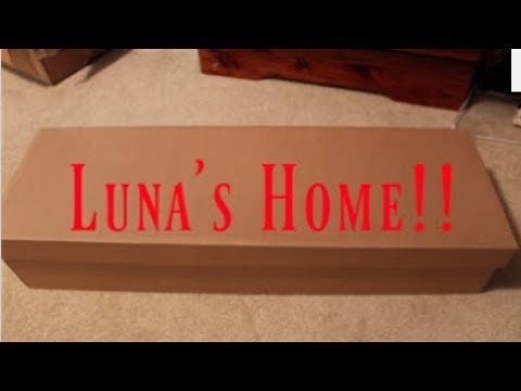 Dollshe Craft Ausley Love Unboxing - YouTube