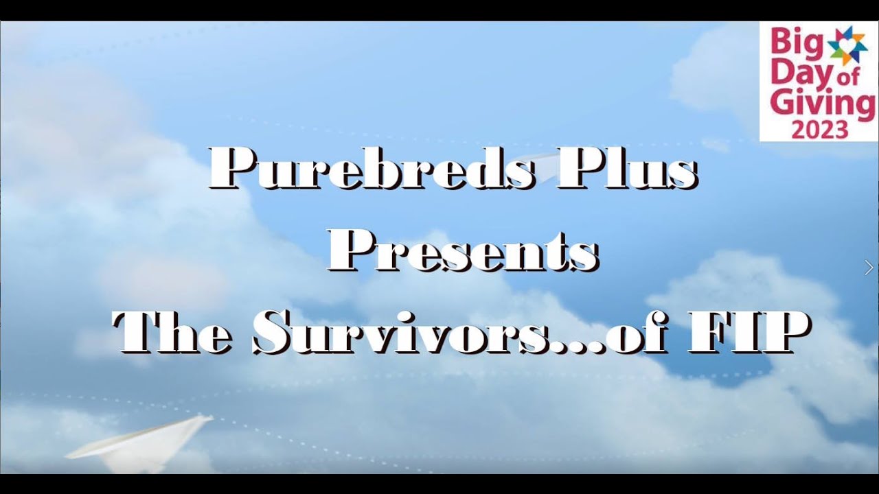 Purebreds Plus FIP Program: 2023 Big Day of Giving Sacramento (BDOG) - YouTube