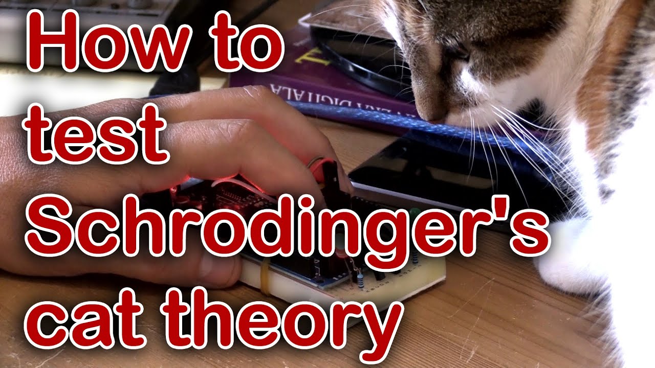 How to test Schrodinger's cat theory (#18) - YouTube