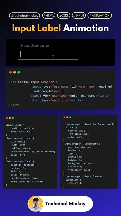 Input Label Animation | HTML & CSS - YouTube
