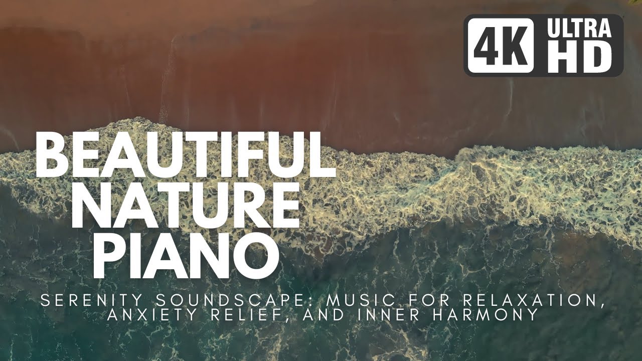 Serenity Soundscape: Music for Relaxation, Anxiety Relief, and Inner ...