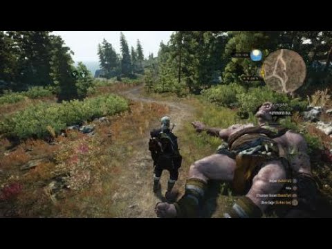 The Witcher 3: Wild Hunt: Killing a Cyclops without potions - YouTube