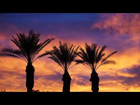 Brant Bjork - Waiting For A Coconut To Drop (Homework Edit)