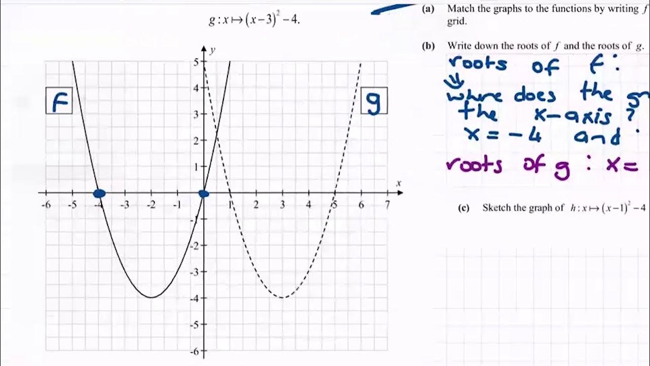 Functions Hard Question Q11 2015 Sample Paper 1 Junior Cert Higher ...