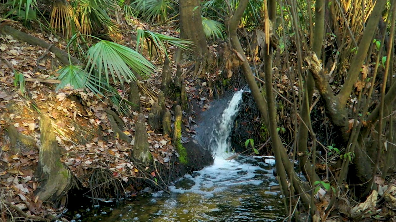 Boonie Falls - YouTube