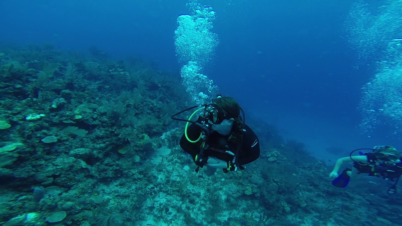 Belize - Turneffe Atoll #1 - YouTube