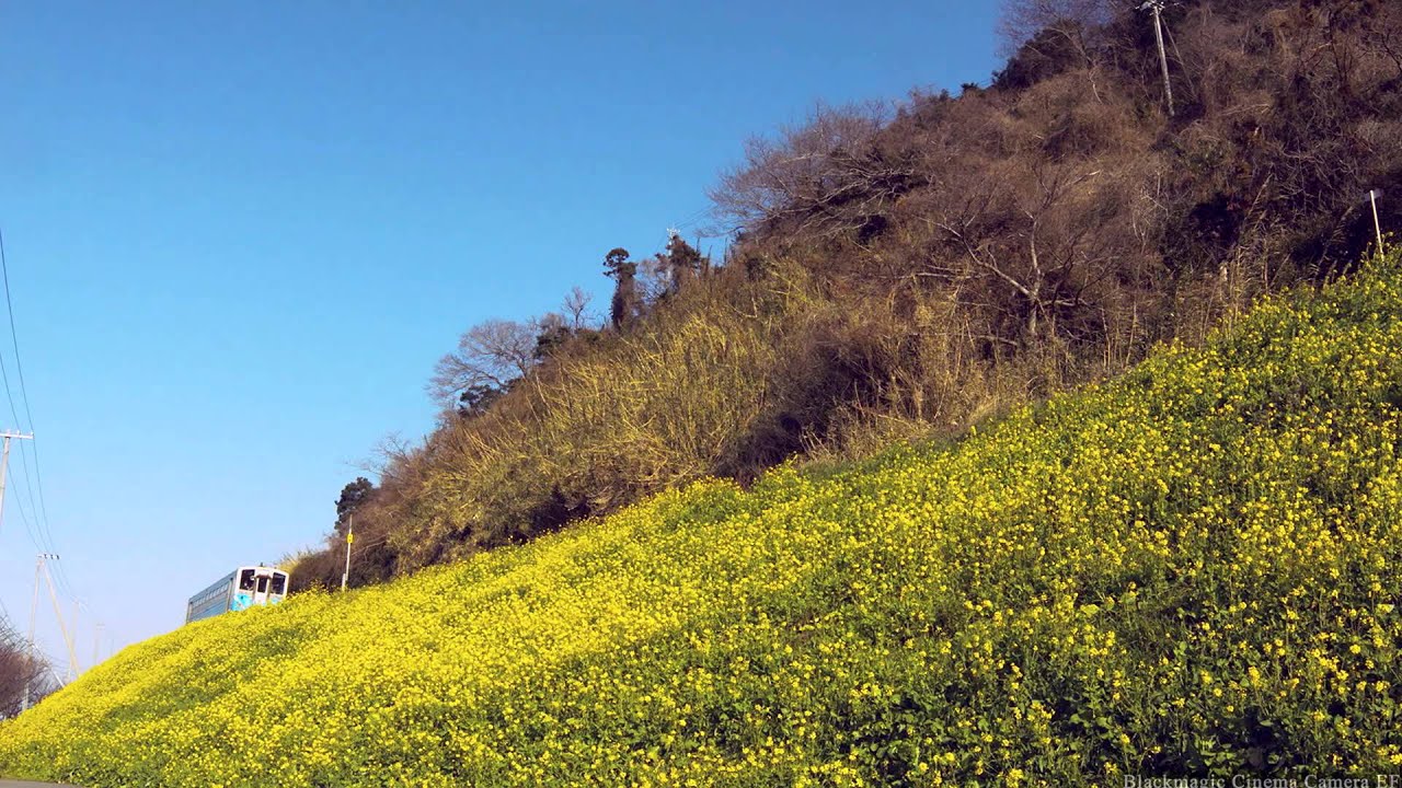 bmcc-audio-test-lma-youtube