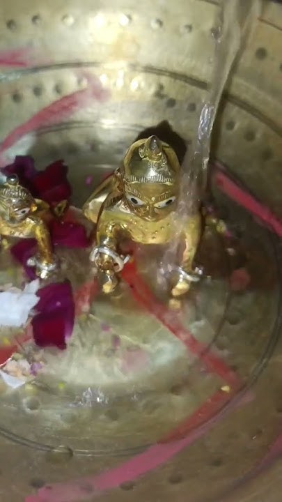 Shri Krishna Ji Daily Routine Yt Laddu Laddugopal Krishna Kanha Shortsfeed Shorts Short