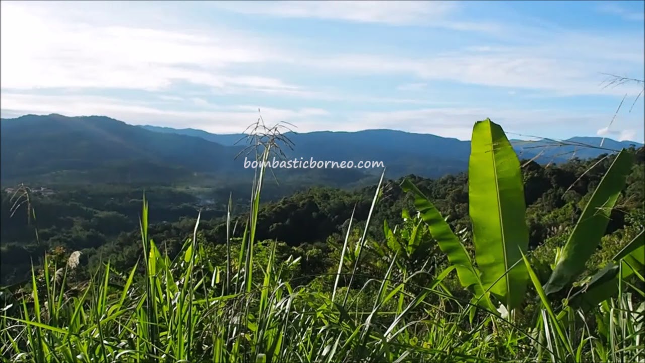 Tambunan View Point, Sabah Tourist Attraction, Malaysia Borneo Travel ...