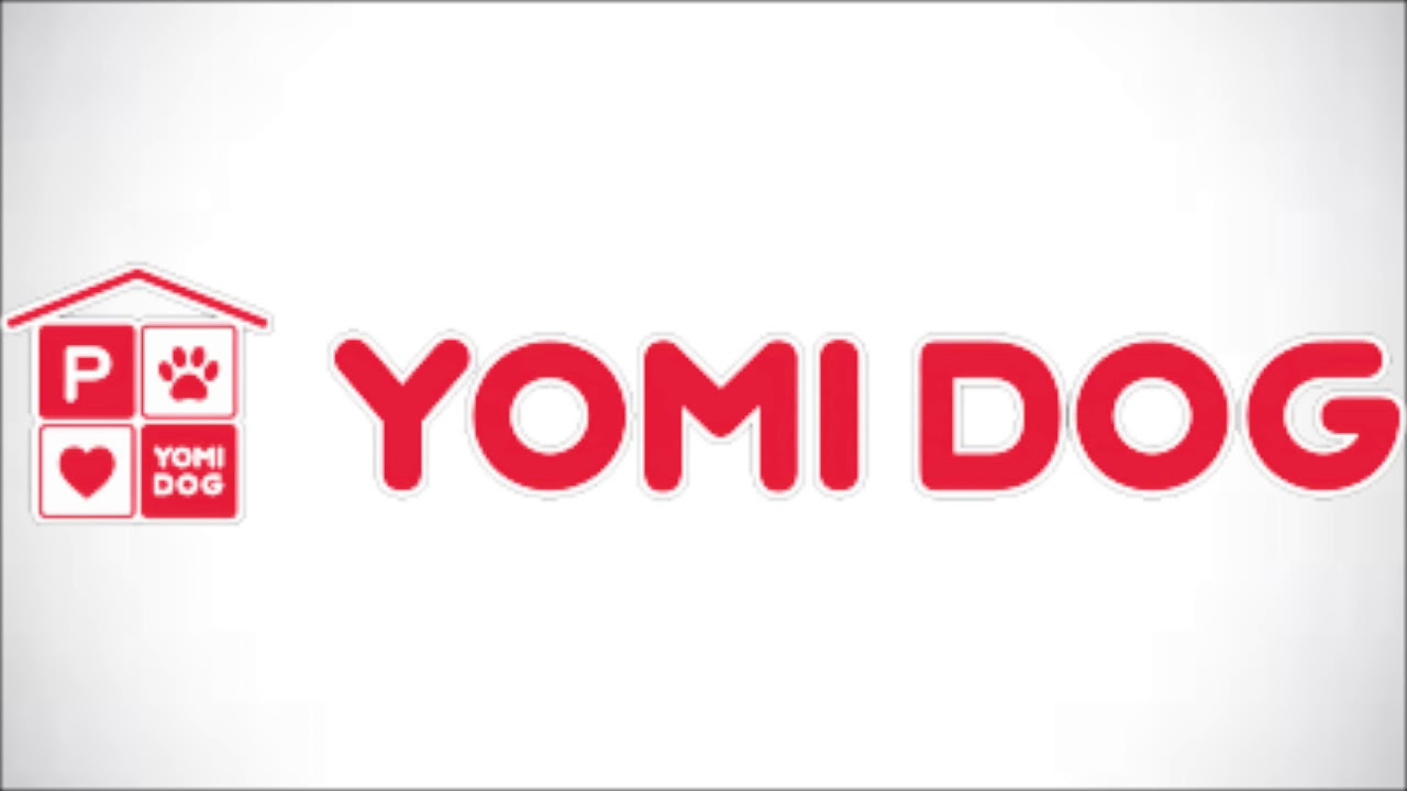 www.yomidog.com슈나우져분양,신촌애견분양,신촌강아지분양,슈나우저분양 - YouTube