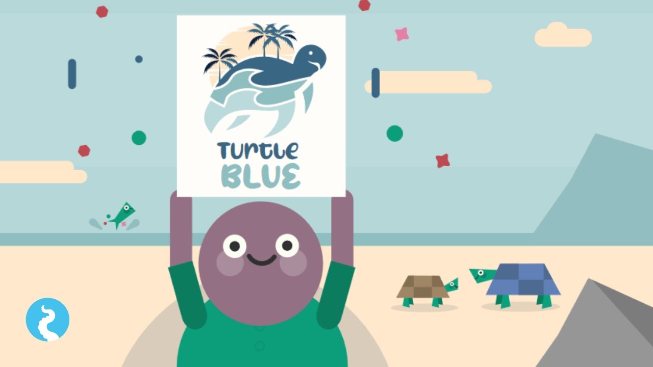 Turtle Blue | Client Example 2023 | Squideo Animated Explainer Videos - YouTube
