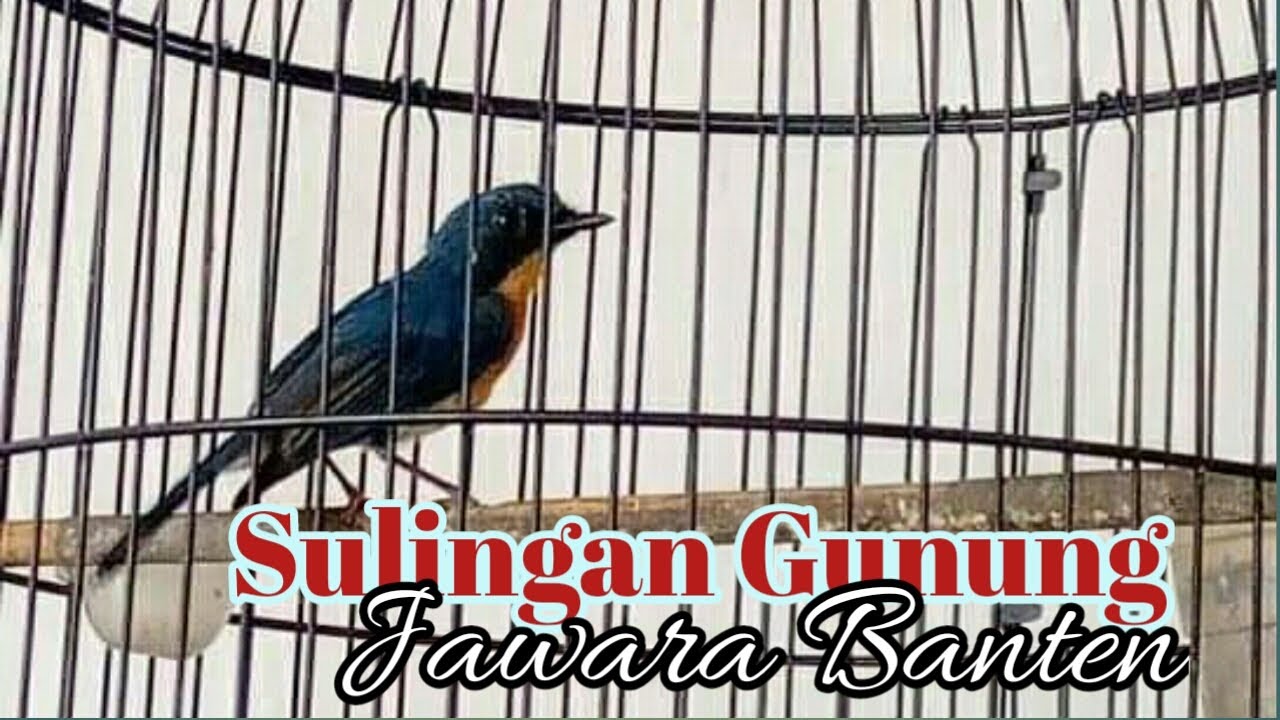Sulingan Gunung Banten - YouTube