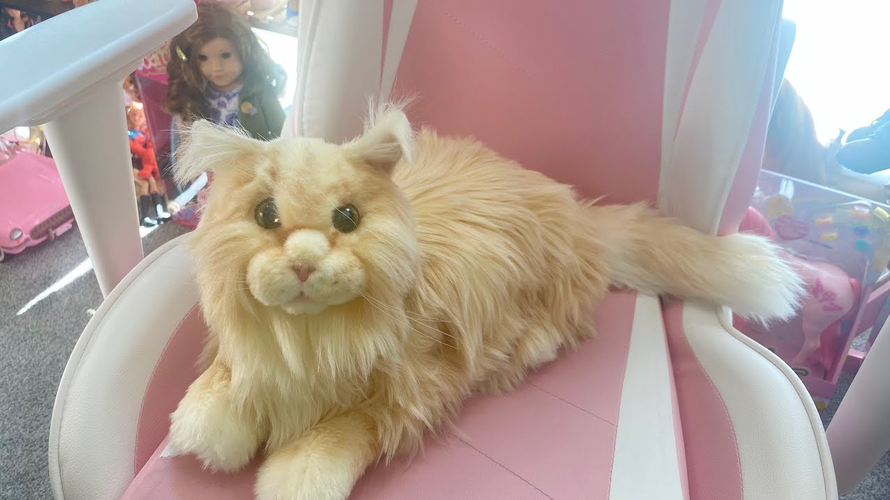 Robotic Pet Cat!! Metacat from Elephant Robotics 🐈 Review!! ~ 2023 ...