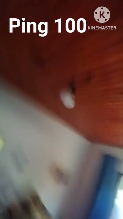 Casa Ping 999+ - YouTube