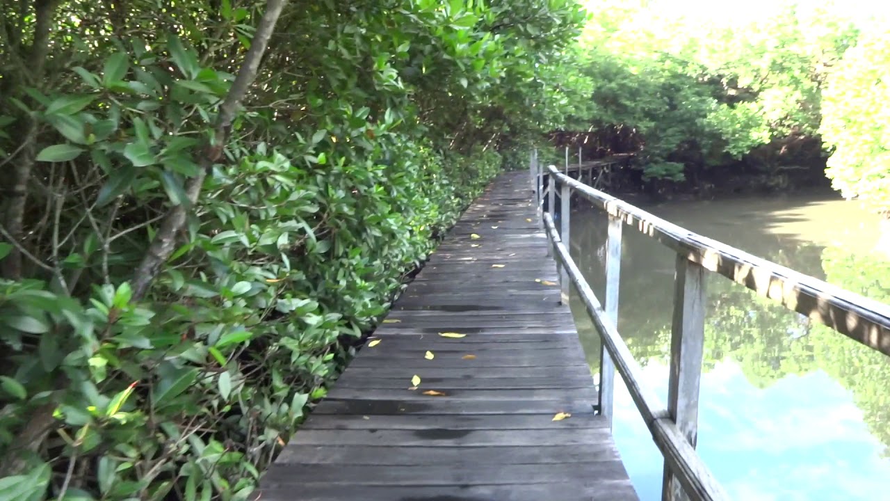 Explore Tracking TAHURA Ngurah Rai (Bagian 3) - YouTube