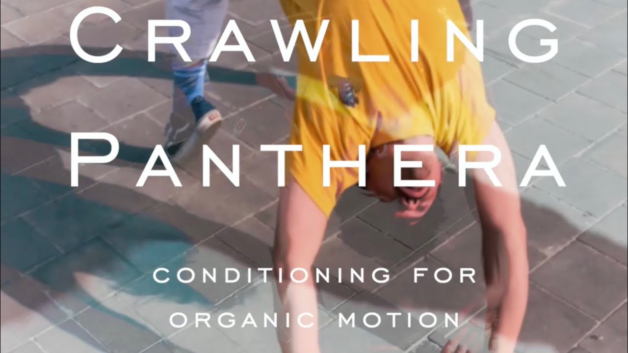 "Crawling Panthera" – Locomotion/Crawling Patterns Breakdown (Continuity in Movement) - YouTube