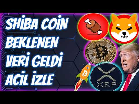SHİBA COİN CİDDİ YÜKSELİŞ BEKLİYORUM ACİL! SHİBA COİN BÜYÜK DUYURU GELDİ ACİL!