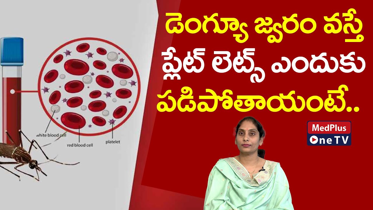 Why Do Platelets Decrease When You Have Dengue Fever? | Dr.Sravani Reddy Karumuru @MedPlusONETV ...