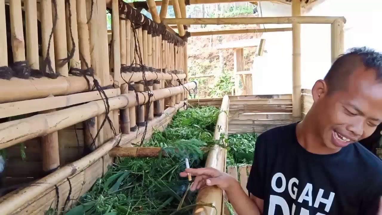 Mang Adeng Jalan jalan Pake mobil Dolak || maturan syuting "sudzon" pa ...