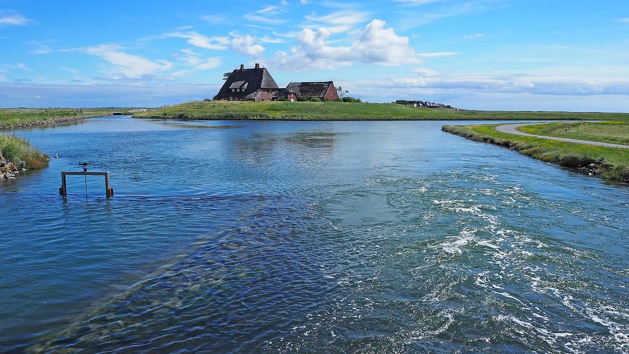 Wanderung auf der Hallig Hooge bei einer individuellen Tagestour mit ...