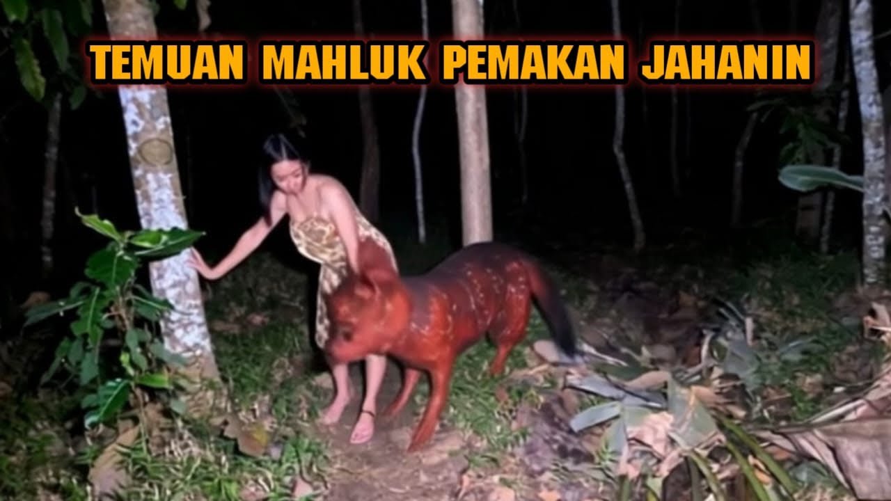 HEBOH GA SENGAJA MERGOKIN MAHLUK ANEH DI TENGAH HUTAN - YouTube