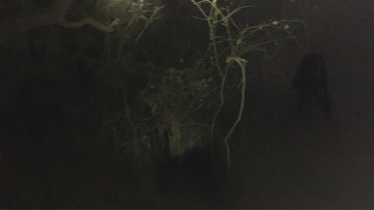 EXPLORING THE DONKEY LADY BRIDGE!!!! Part 1 #SanAntonio - YouTube