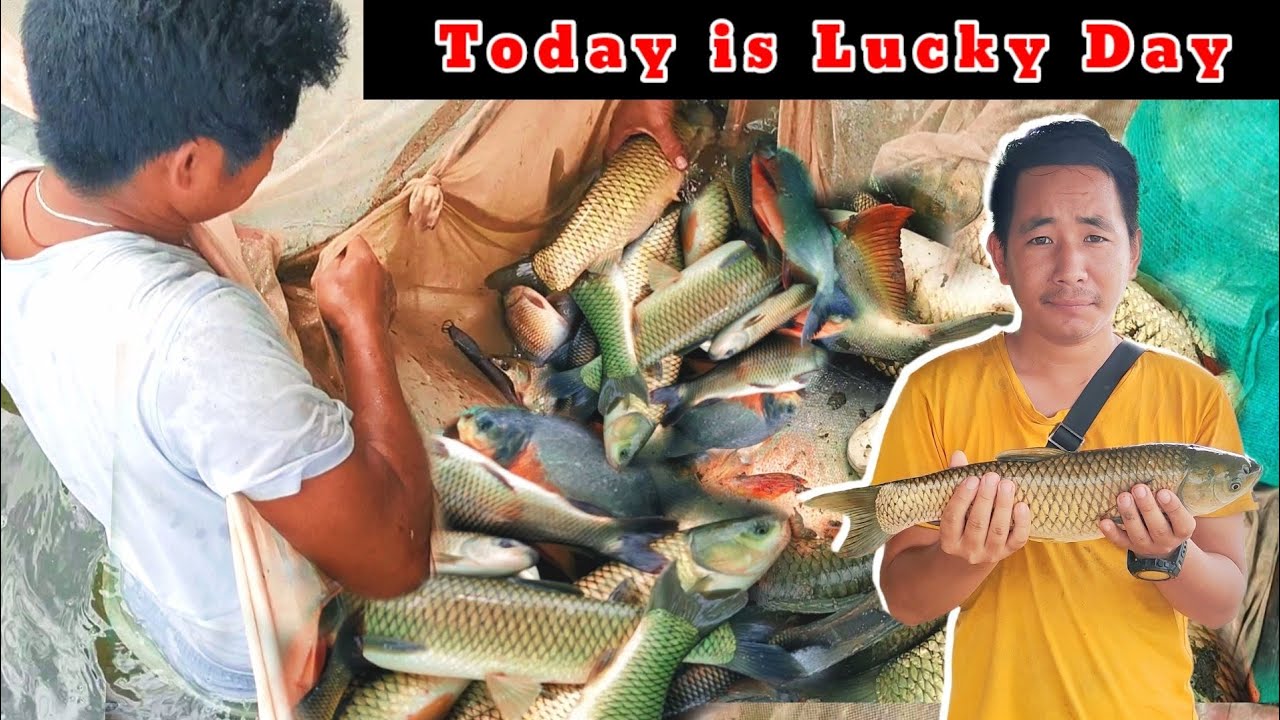 Northeast India local people fishing 🎣 video|Arunachal Pradesh Fishing ...