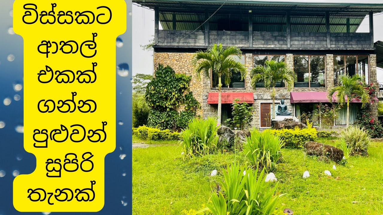 KAAYA MOUNTAIN RANGE - KNUCKLES | MATALE | KANDY - YouTube