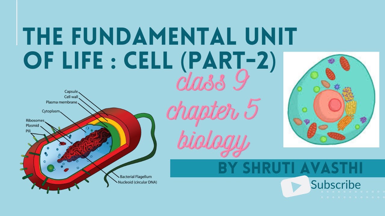 Class 9 Chapter -5 | Fundamental unit of life (part-2) | Science ...
