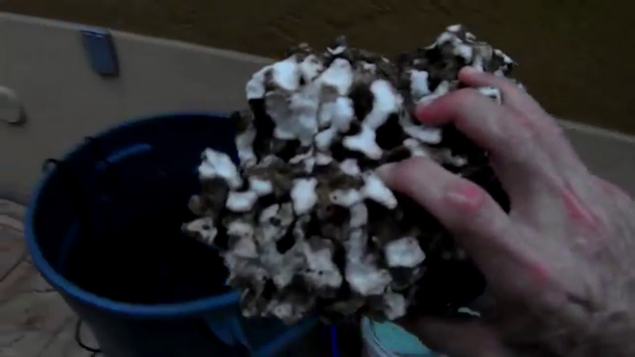 50-gallon Cube Reef Aquarium Series: Part 2 - Pukani Dry Rock Cleaning ...