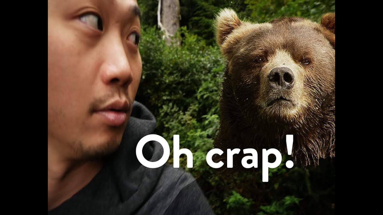 Tent Camping On Vancouver Island Do Bears Eat Humans YouTube tent-camping-on-vancouver-island-do-bears-eat-humans-youtube