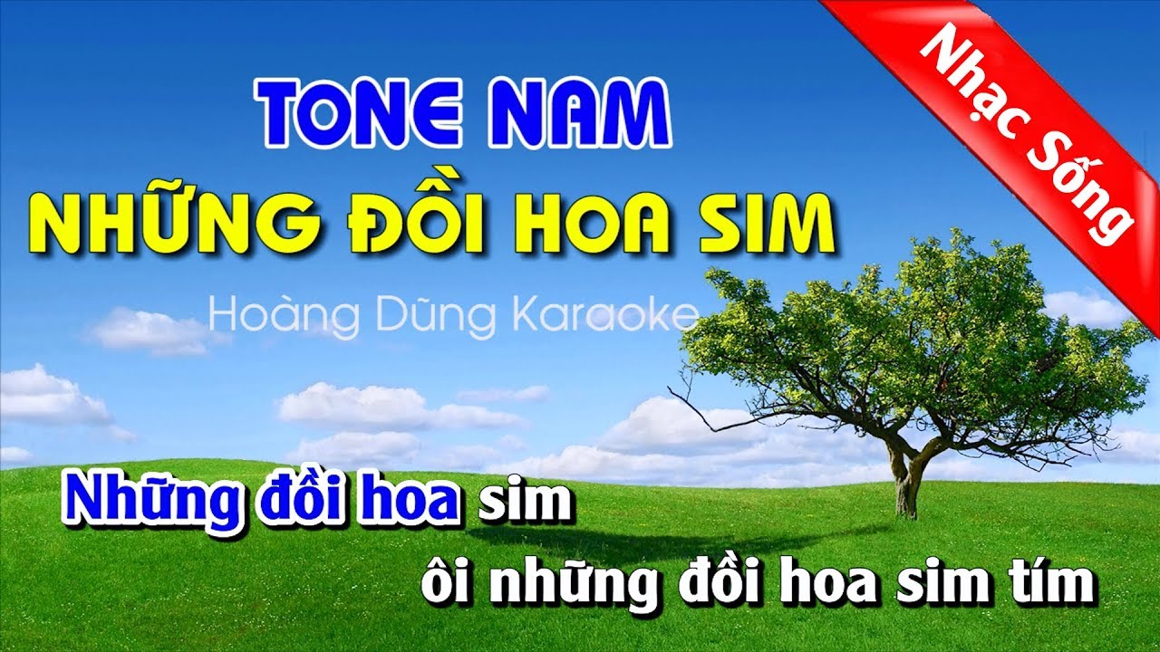 Những Đồi Hoa Sim Karaoke Nhạc Sông - Nhung doi hoa sim karaoke nhac ...