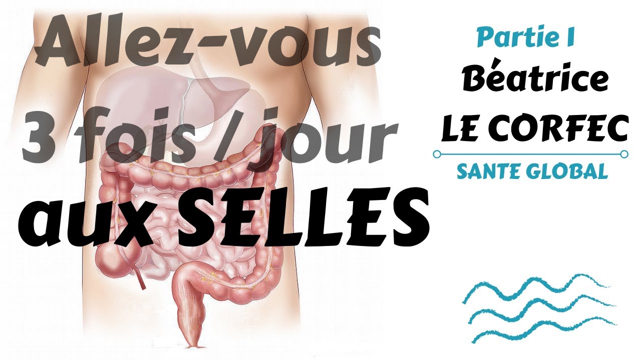 Partie 1. Allez-vous trois fois par jour aux selles ? - YouTube