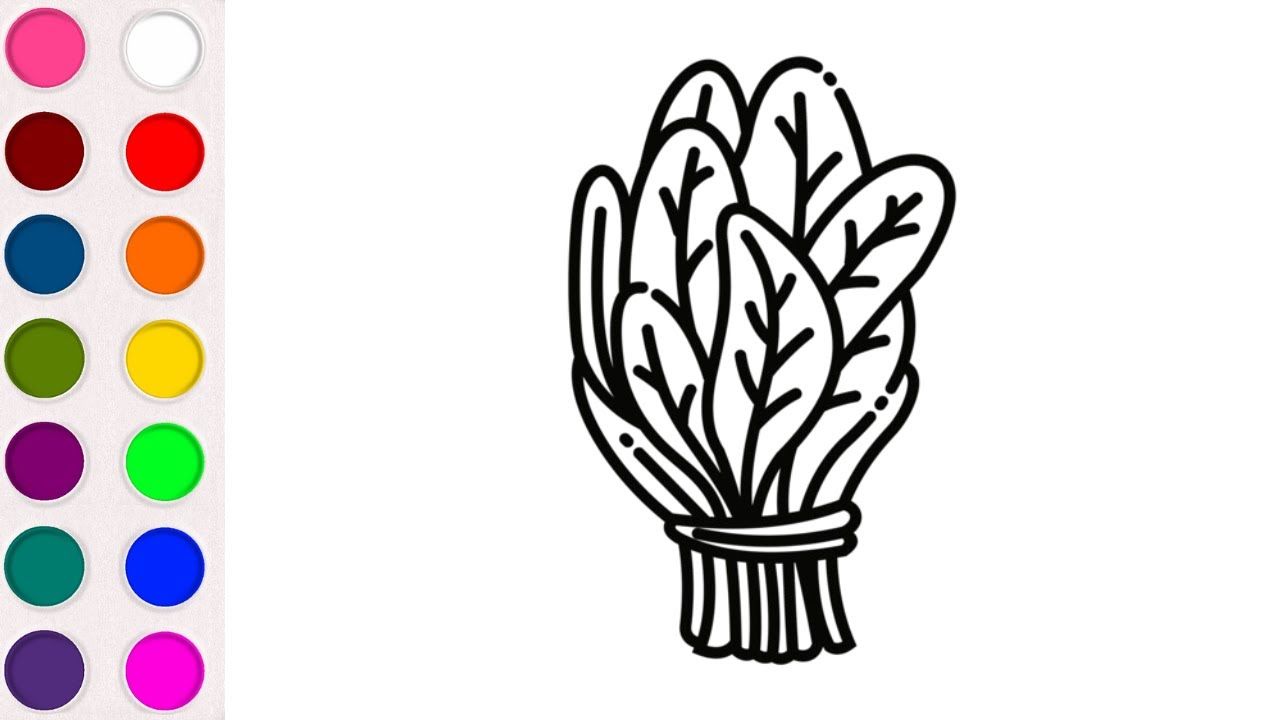 How to Draw Spinach | Drawing, Coloring for Kids | ART MAGIC PALETTE ...