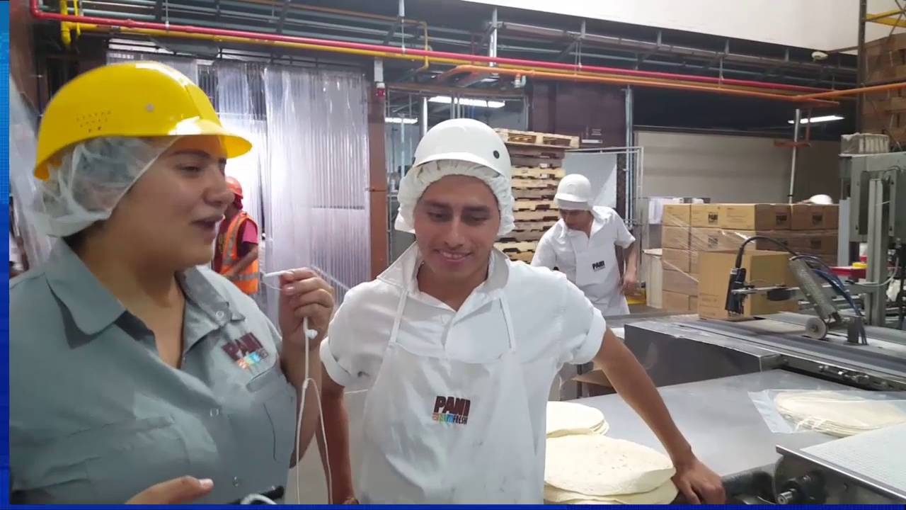 Pani TV Cultura Panifresh - YouTube