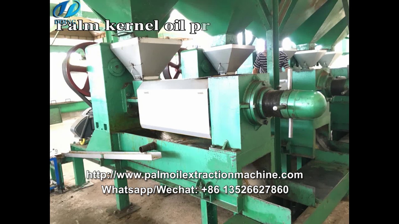 0.5-2tph palm kernel oil production line, palm kernel oil processing ...