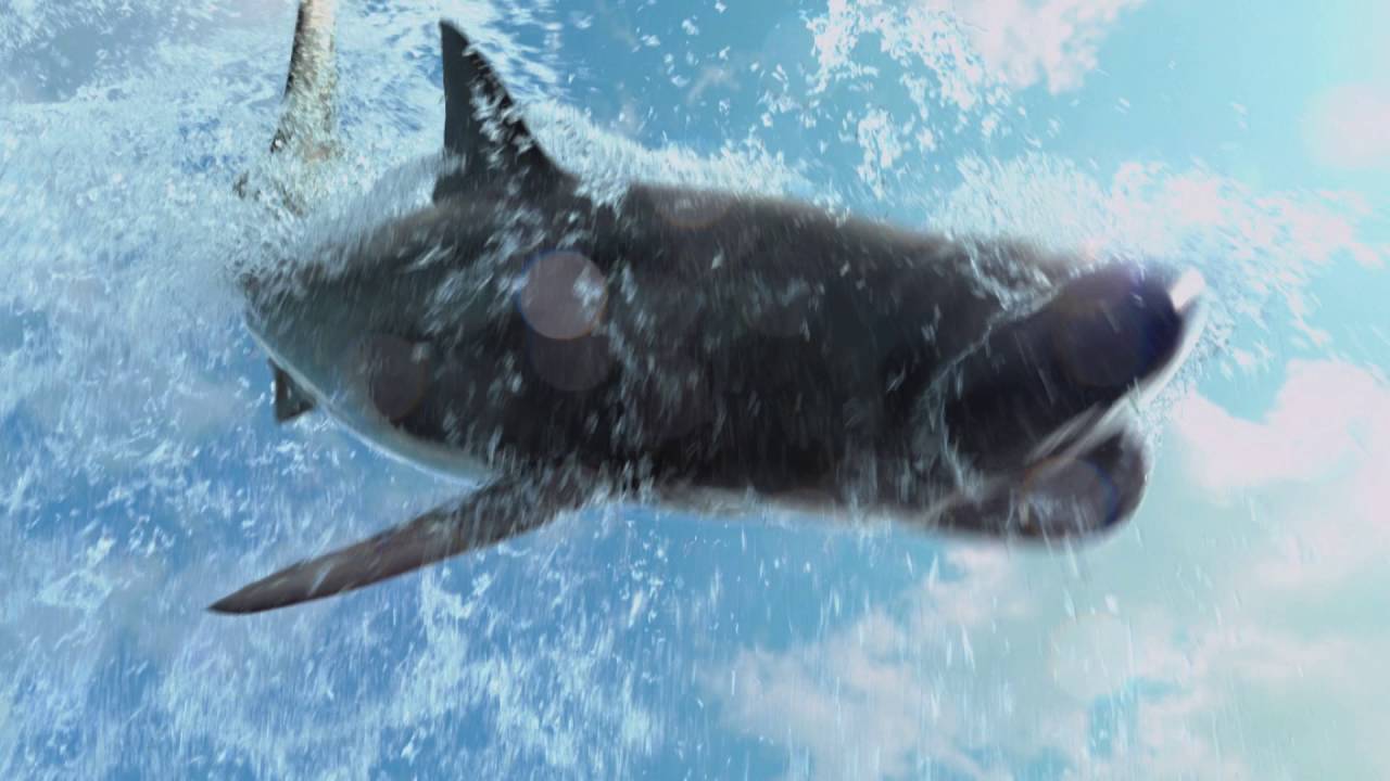 Shark Week 2016 on Discovery - YouTube
