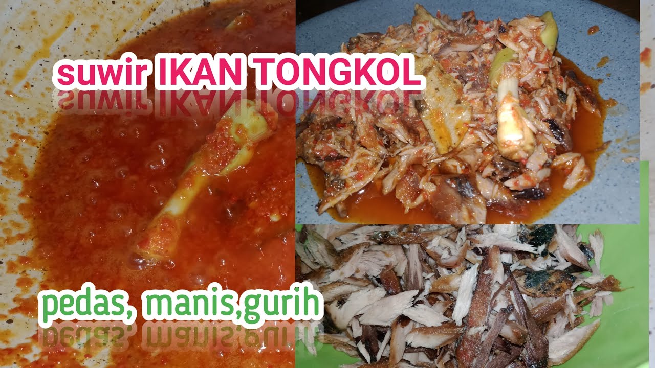 bikin kenyang keluarga‼️resep suwir ikan tongkol @Tehyun778 - YouTube