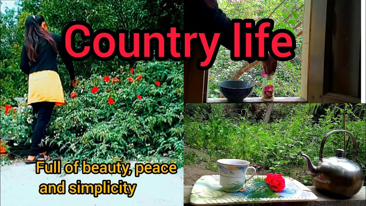 Satisfied with the simple country life | rural life | Sa min - YouTube