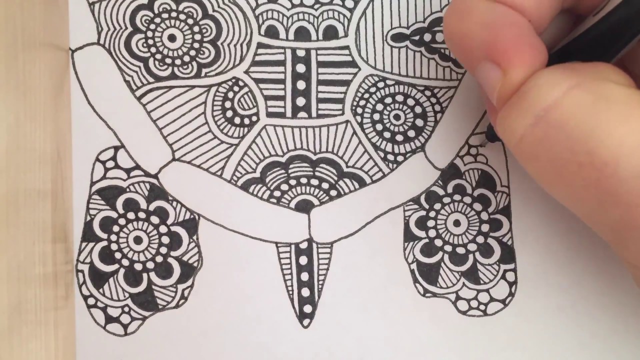ZENTANGLE TURTLE (SPEED DRAWING) | Cassidy Designs - YouTube