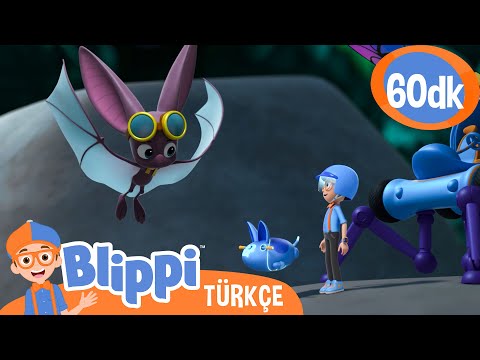 Yarasalar 🦇 | BLIPPI WONDERS | Çocuk Çizgi Filmleri | Moonbug Kids Türkçe