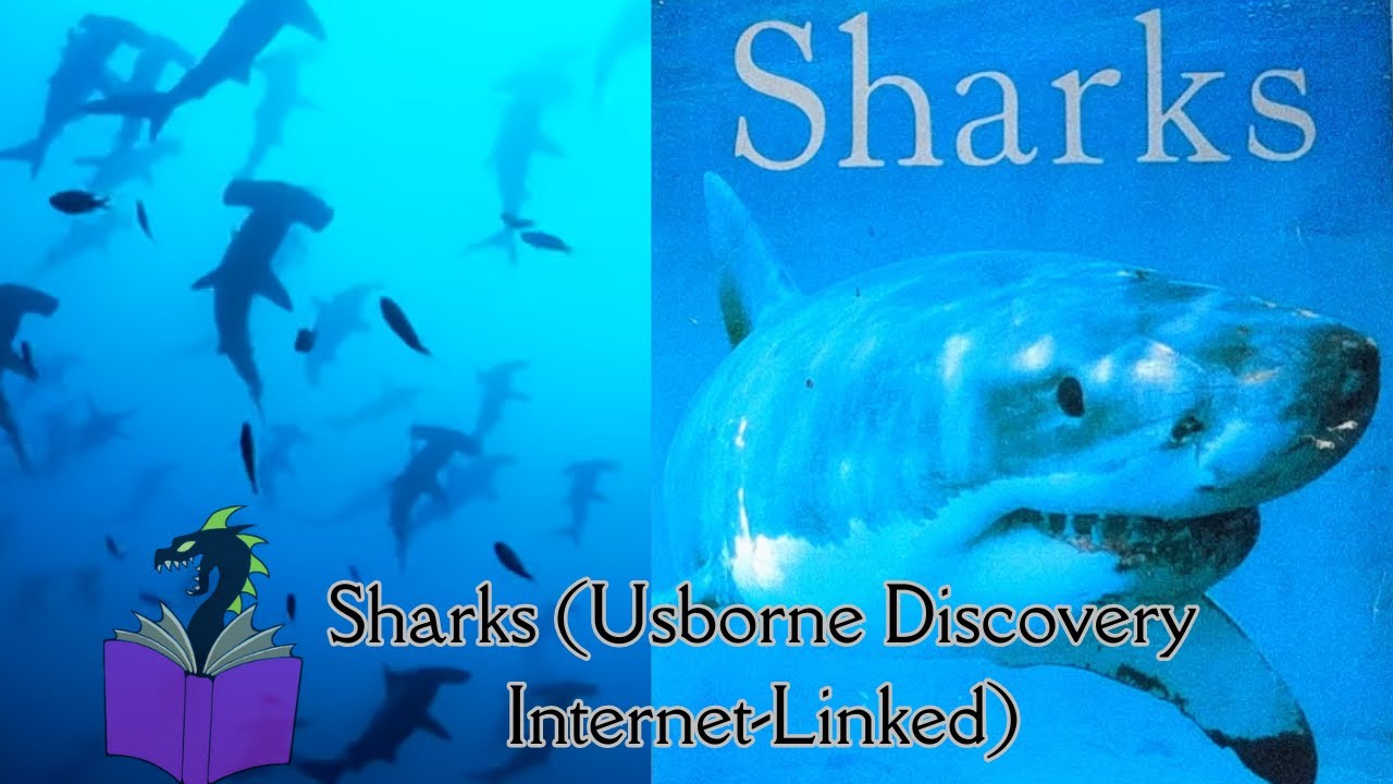 Sharks (Book Flip) - YouTube