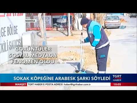 Sokak Köpeğine Arabesk Söyleyen Temizlik Görevlisi