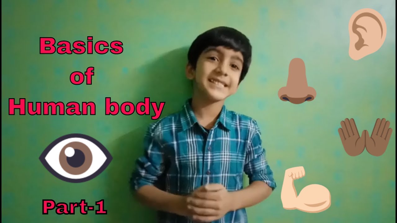 Basics of Human body - Part 1 - YouTube