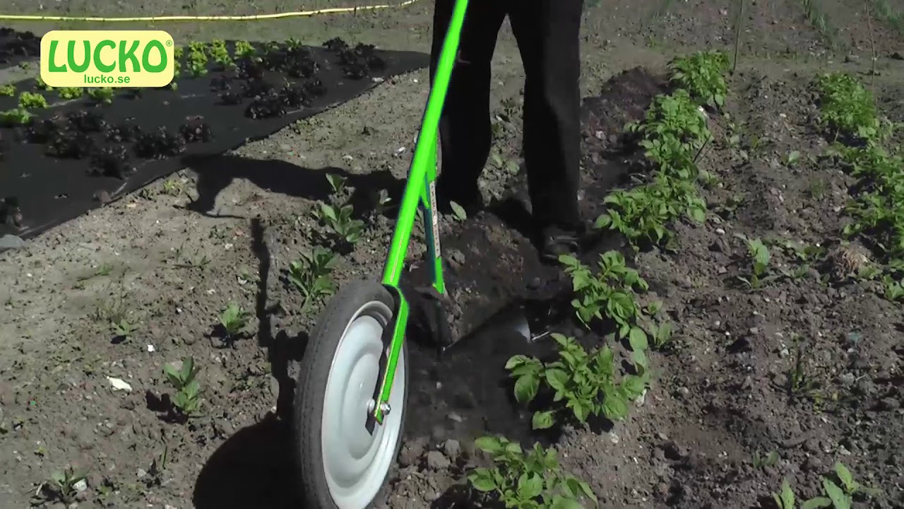 LUCKO - The wheel hoes plow for earthing up. - YouTube